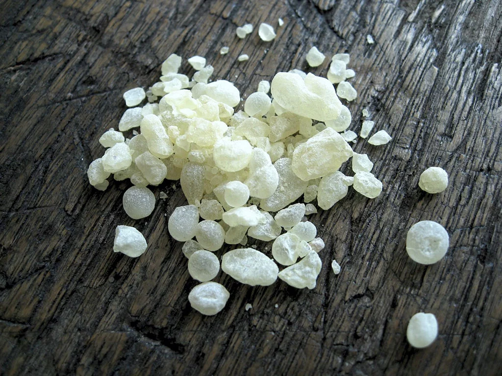 Chios Mastic | Greek Products