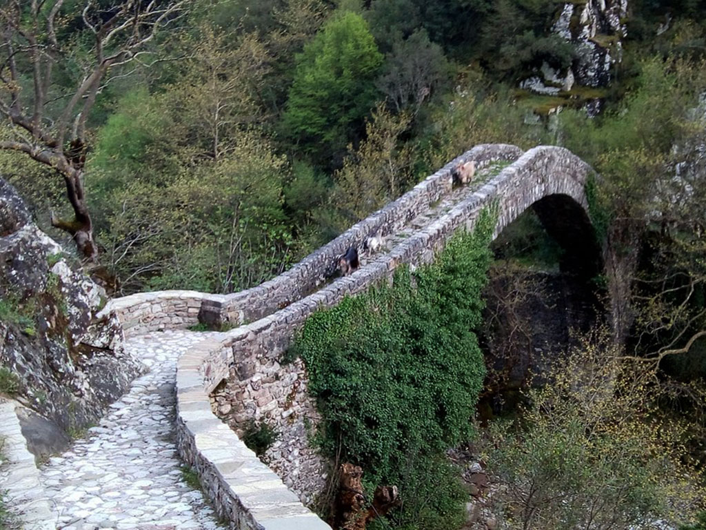 Bridge of Agrafa | Stone Bridges